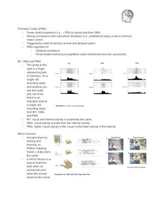 Introduction to Psychomotor Learning - Kin- Introduction to Psychomotor ...