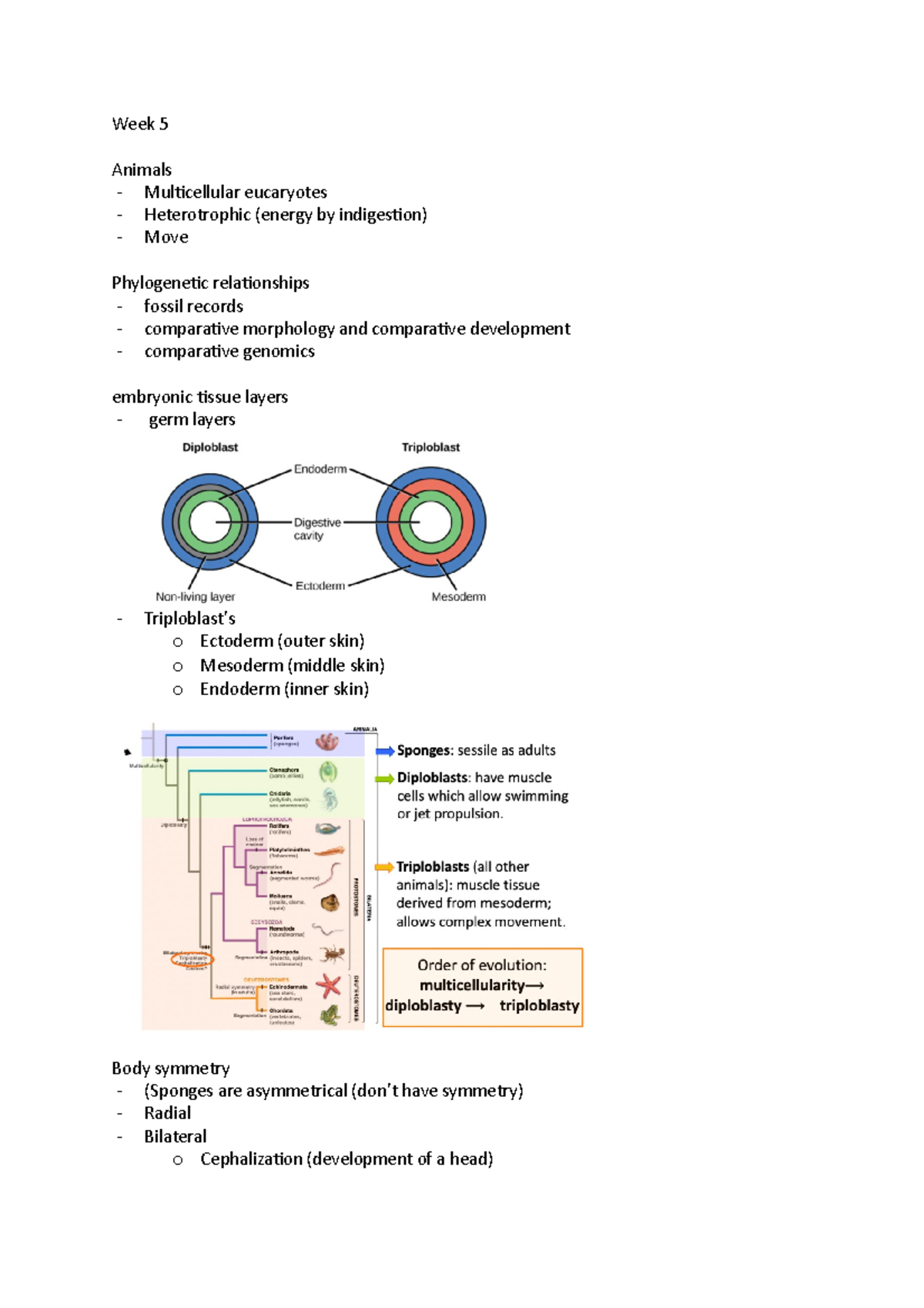 Module 2 - Summaries - Week 5 Animals - Multicellular eucaryotes ...