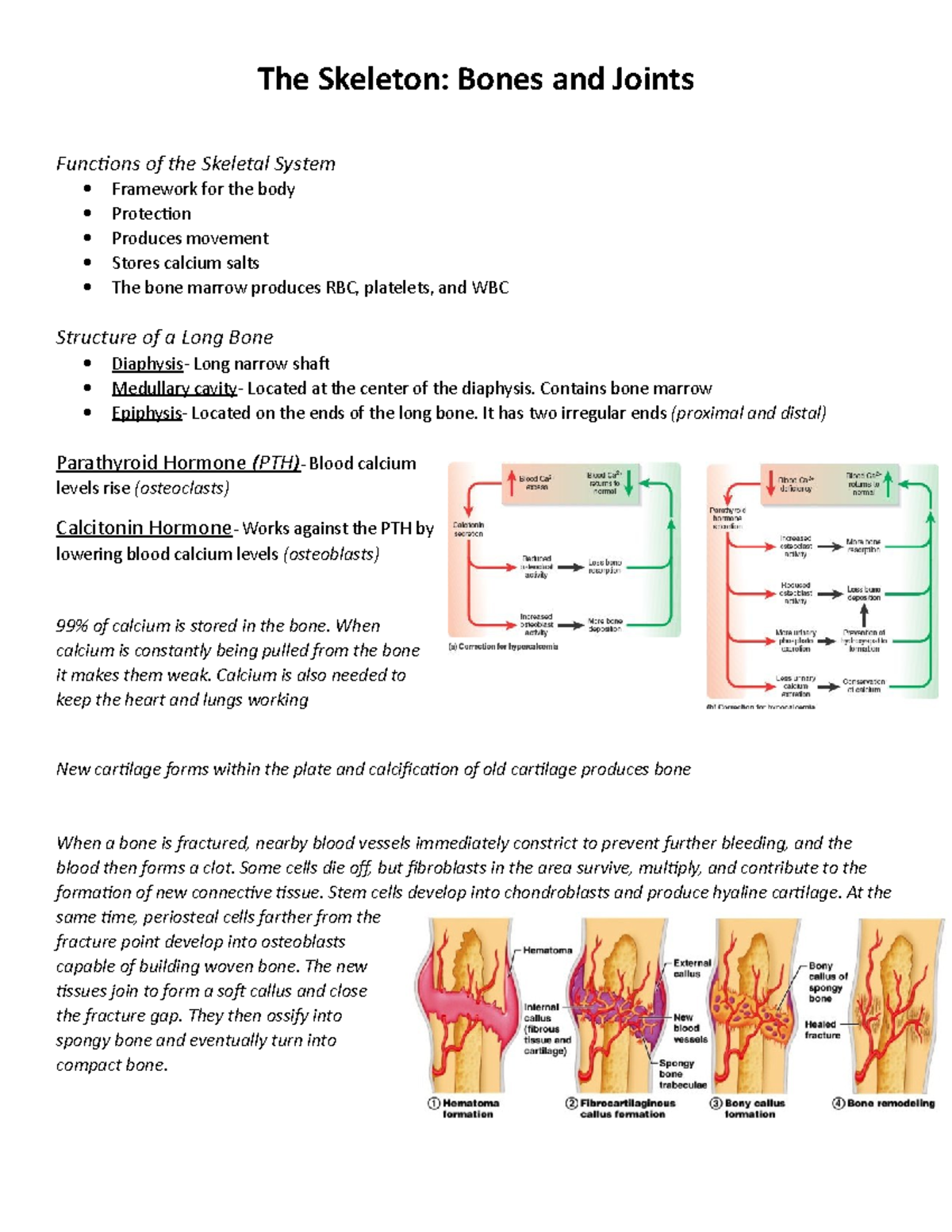 Integrated Human Sciences (Anatomy) Bones and Joints Notes - The ...
