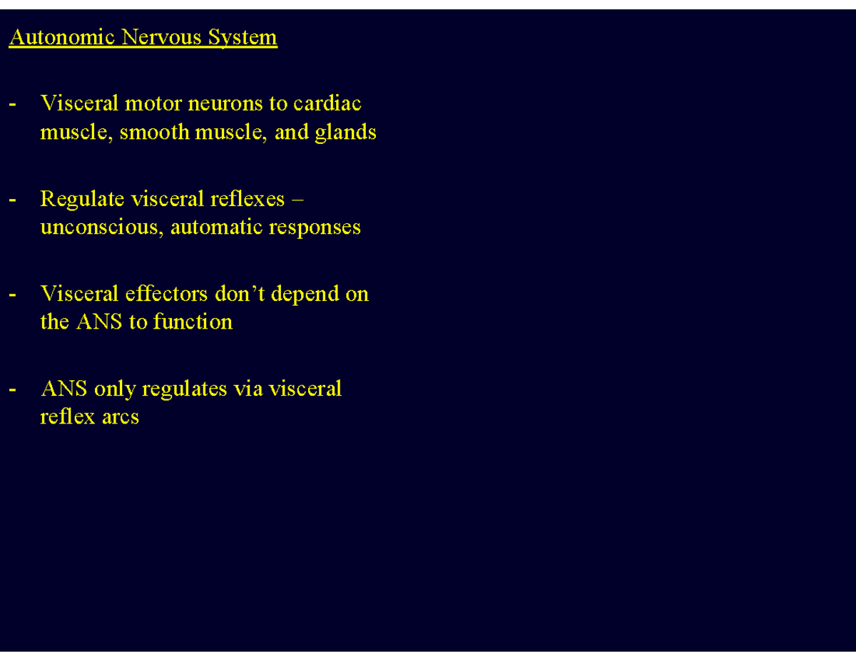 Autonomic Nervous System - Autonomic Nervous System Visceral motor ...