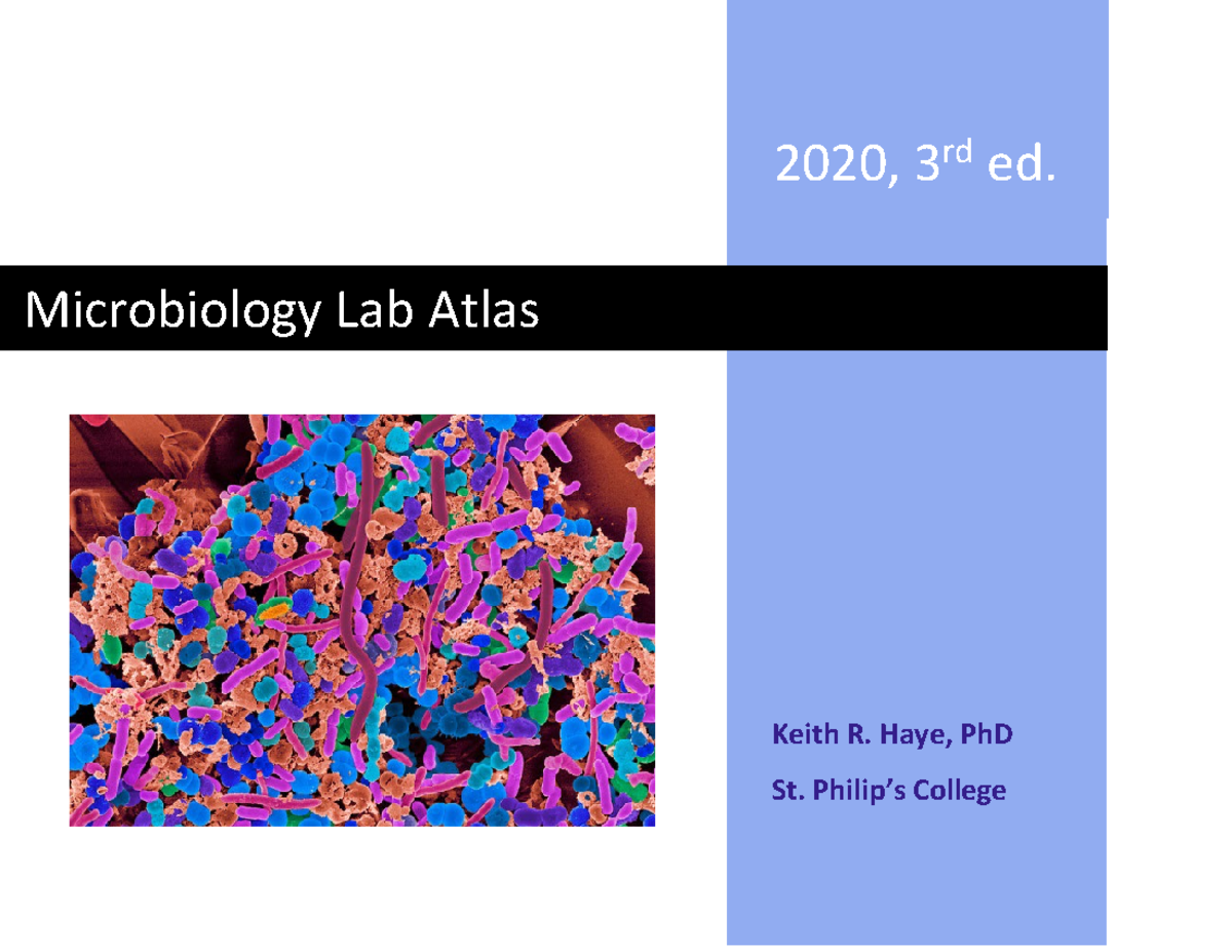 Microbiology Lab Atlas 2020 - Warning: TT: undefined function: 32 2020 ...