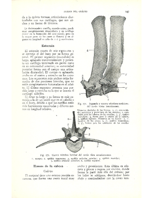 Gu%C3%ADa+pr%C3%A1cticas+1-2 - Guía de Prácticas MV. Mg. Raquel ...