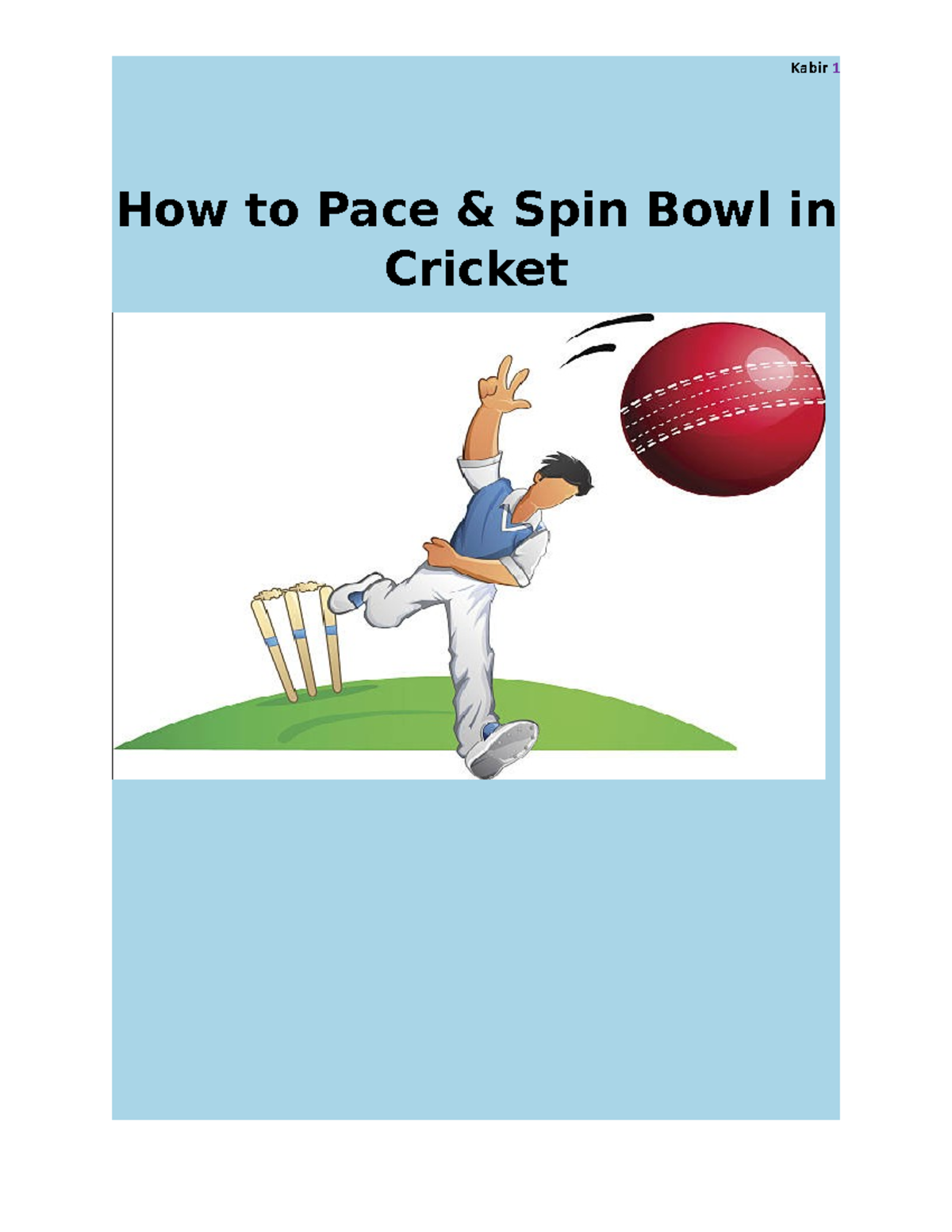 Assignment 3 - essay - How to Pace & Spin Bowl in Cricket User’s Manual ...
