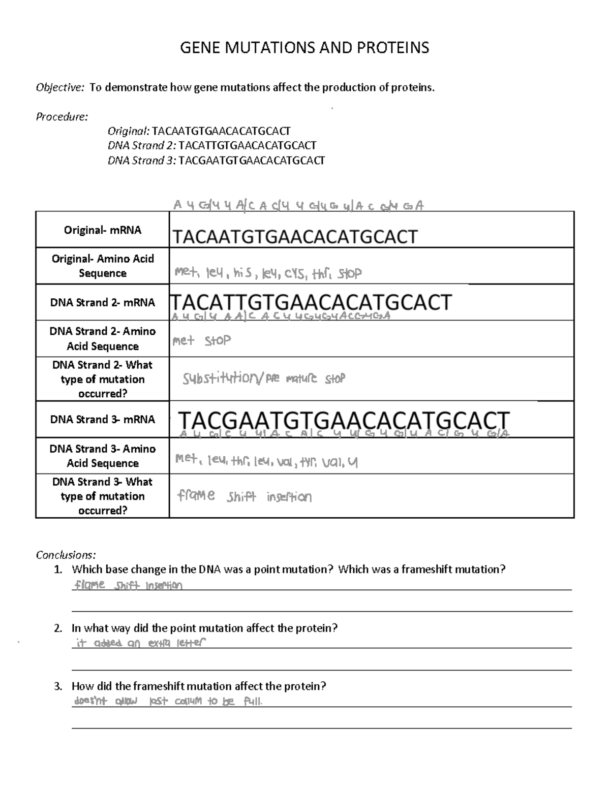Gene Mutation Practice - GENE MUTATIONS AND PROTEINS Objective: To ...