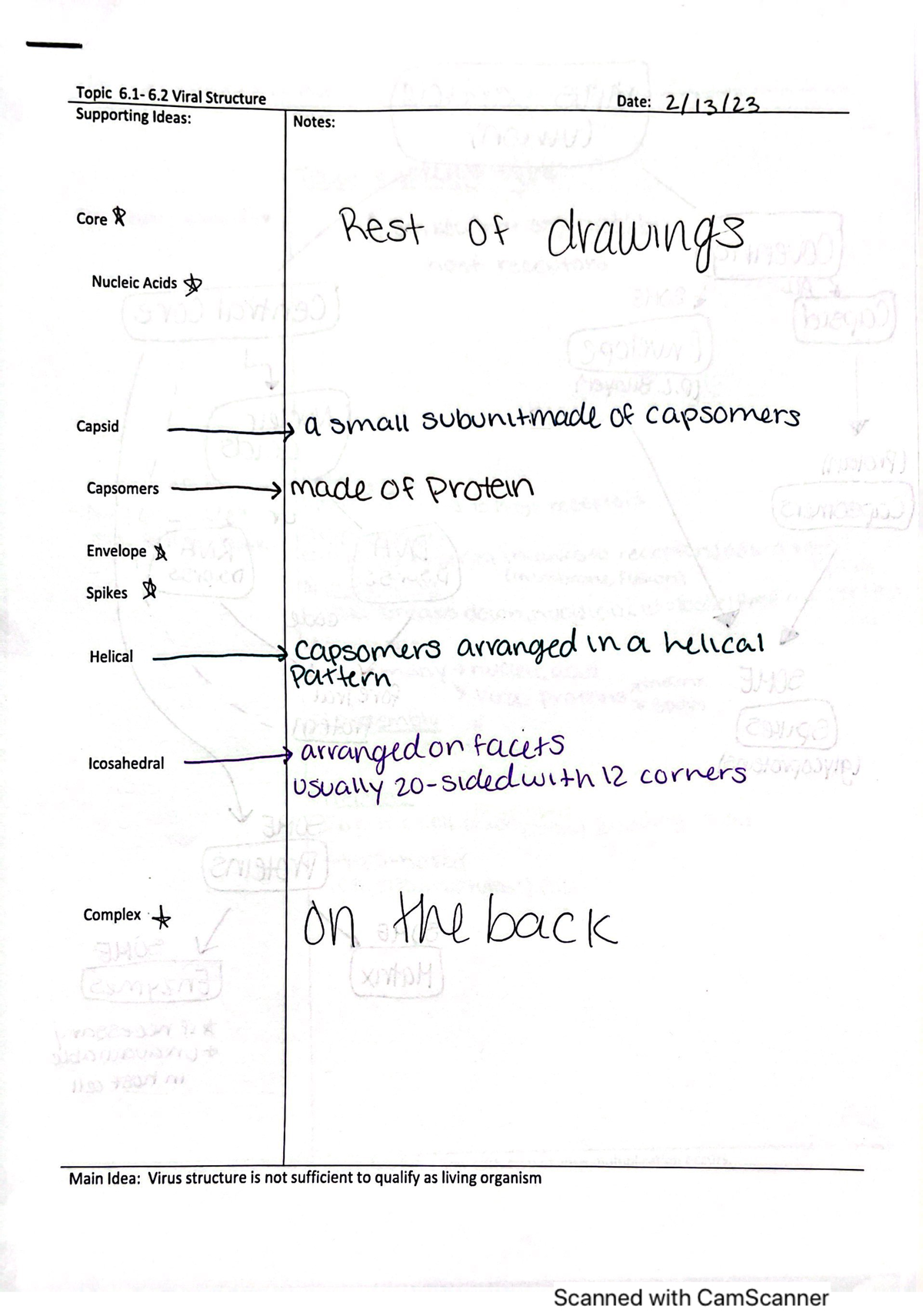 Chapter 6 - notes - MICR V01 - Studocu