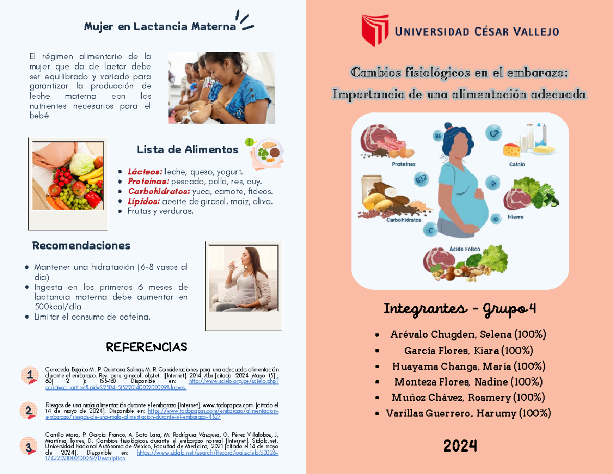 Díptico Cámbios fisiológicos en el embarazo y lactancia - Mujer en ...