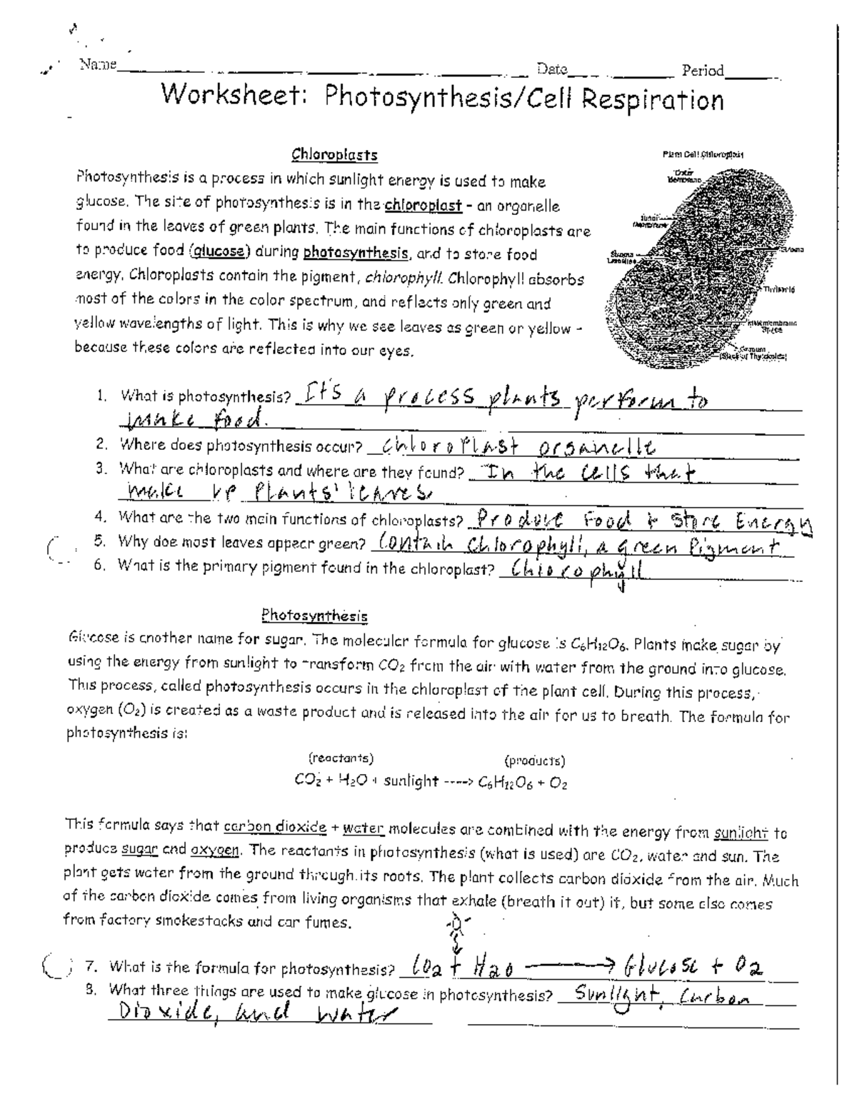 Ws-photo-cellresp - .ytfuytf vytfd uytf uytf ytfy utfytf yt fu y - BIO ...