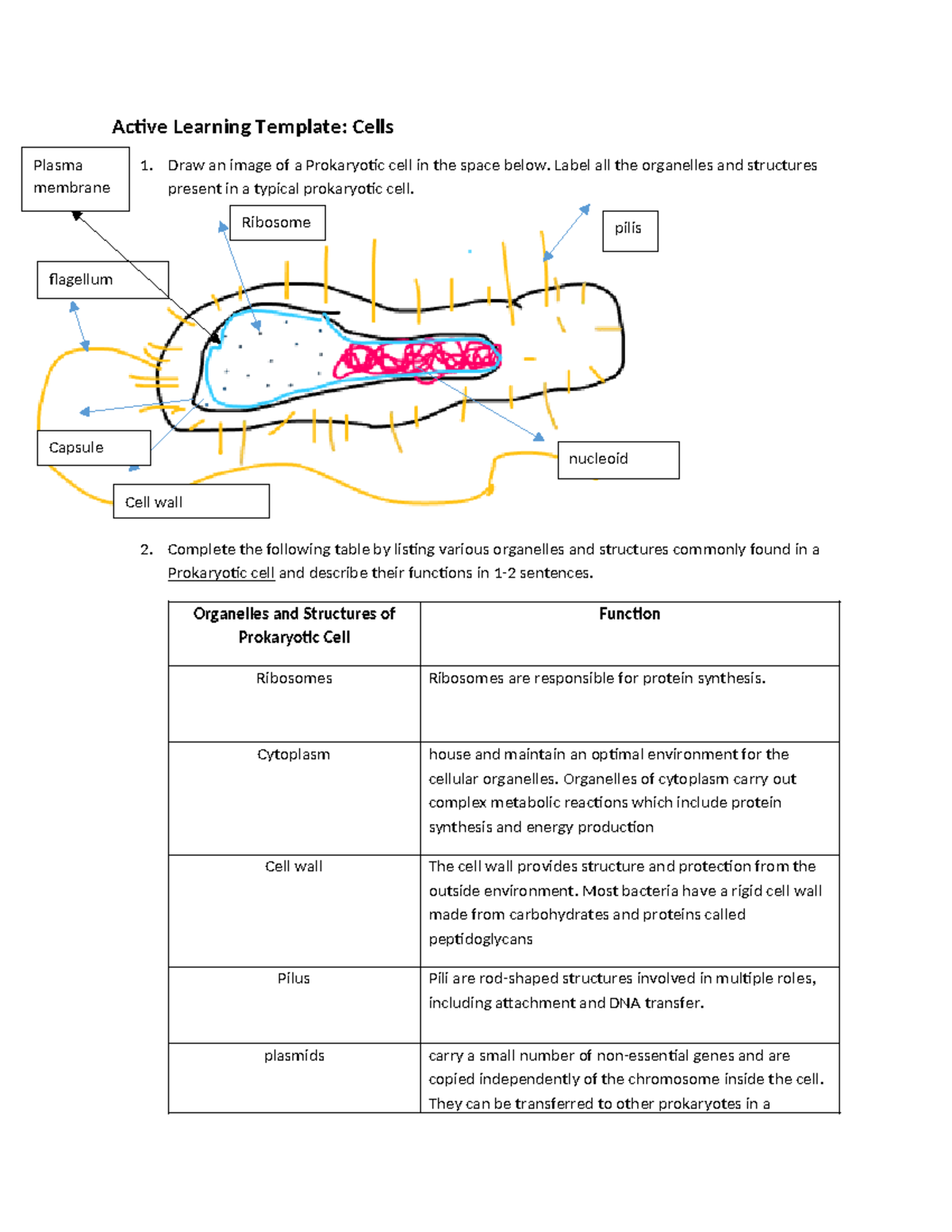 Week 2 assiugnment micro - Active Learning Template: Cells Draw an ...