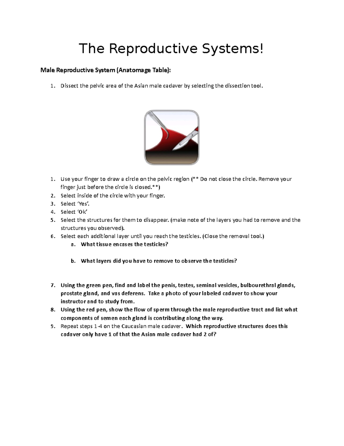 Anatomage Repro - A further breakdown of precriptions - The ...