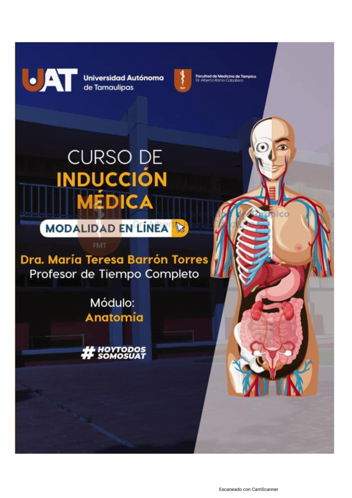 Guia de anatomía - Anatomia I - Studocu