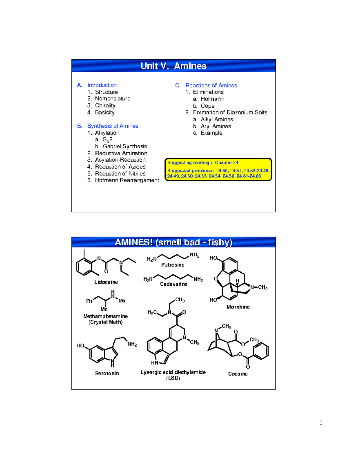 Lec 19 - Lec 19 - Unit V. AminesUnit V. Amines A. Introduction 1 ...