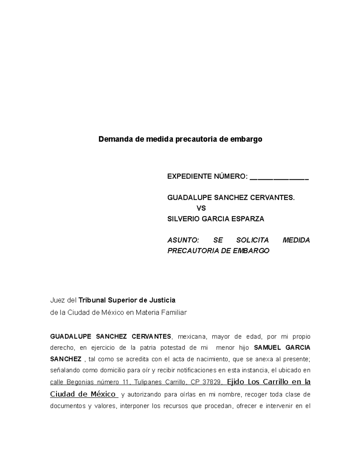 Solicitud de embargo precautorio - Demanda de medida precautoria de ...