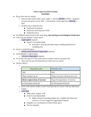 UNIT 3 Recitation Notes - 10/19/ Contractile cells at the end of ...