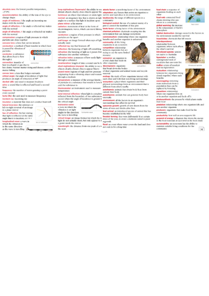 YEAR 9 Science 2021 TEST - YEAR 9 SCIENCE 2021 Control & Regulation ...