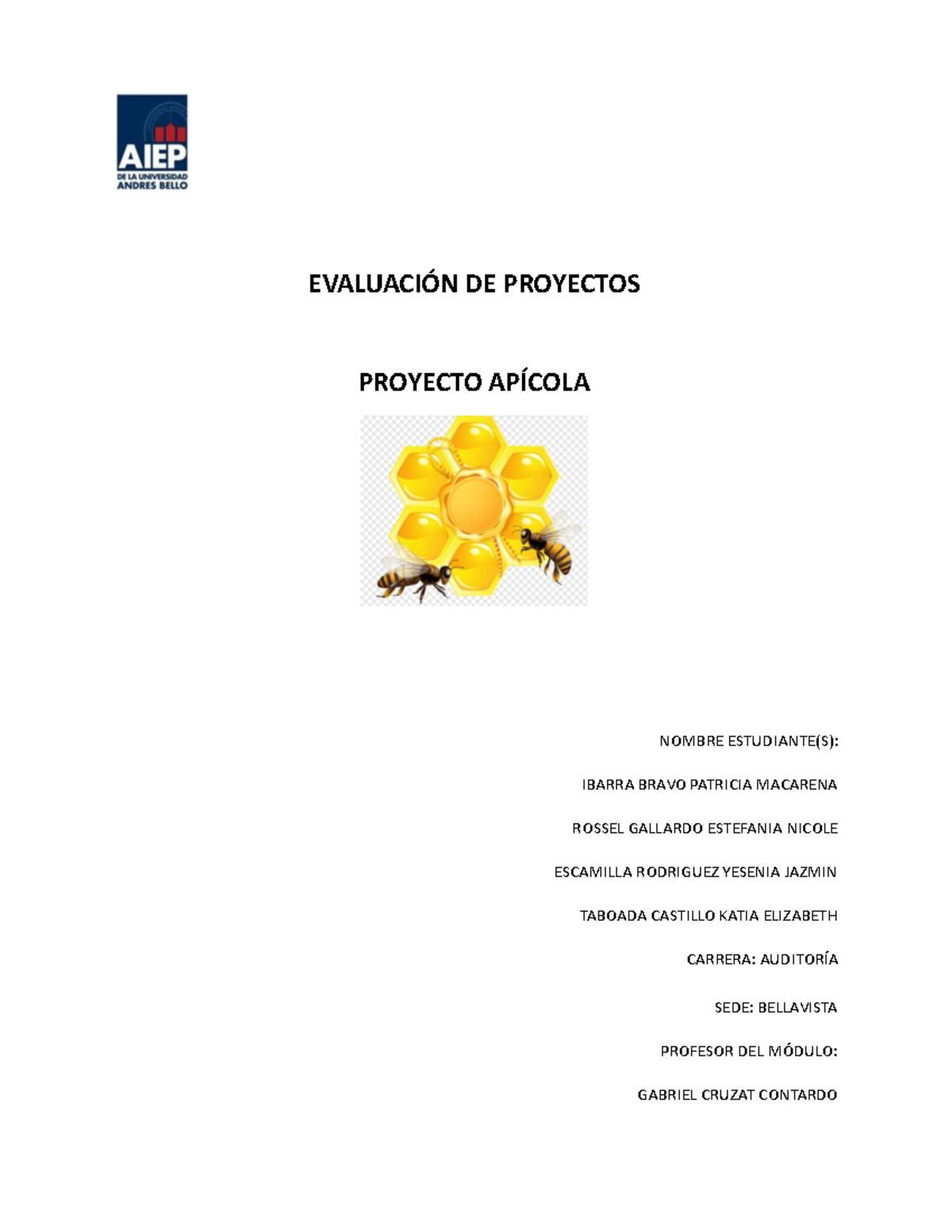 Evaluacion de Proyectos Informe Final 06-07-23 - EVALUACIÓN DE PROYECTOS PROYECTO APÍCOLA NOMBRE ...