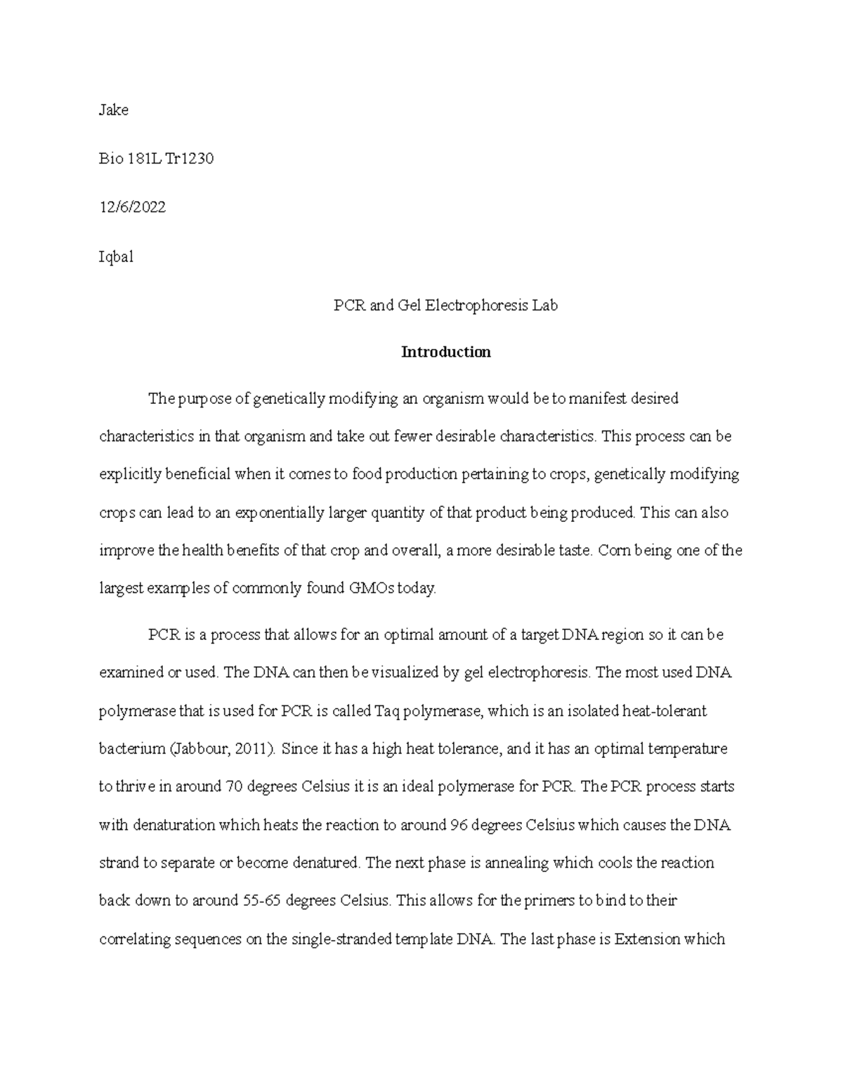 BIO 181 PCR: Gel Electrophoresis Lab - Jake Bio 181L Tr 12/6/ Iqbal PCR ...