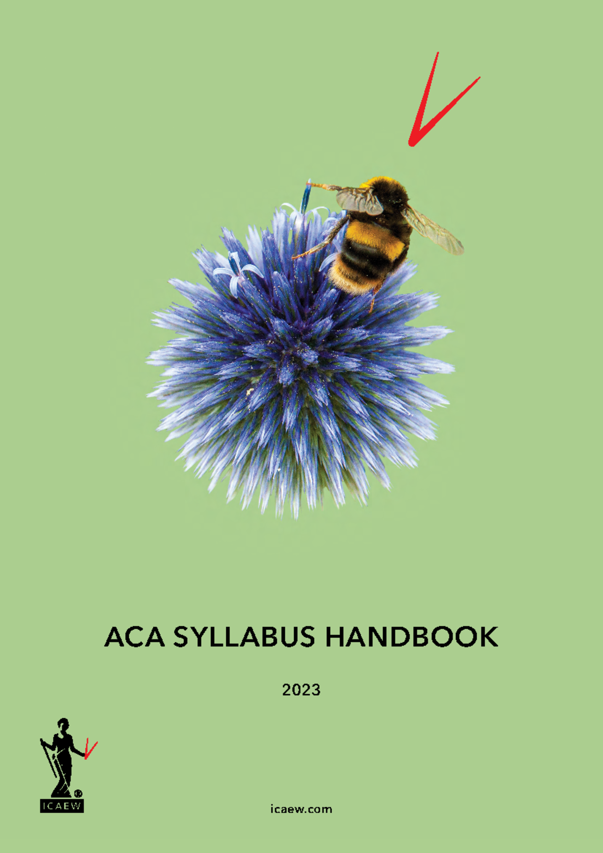 Aca syllabus handbook 2023 - icaew ACA SYLLABUS HANDBOOK 2023 ACA ...
