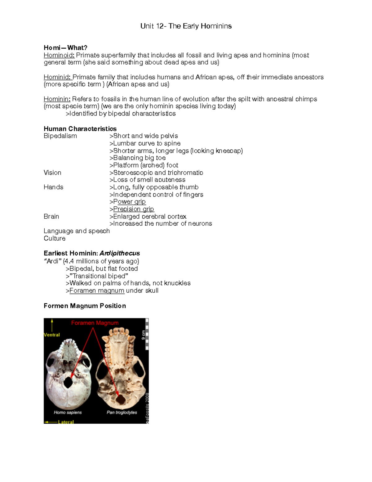 Unit 12- The Early Hominins - Unit The Early Hominins Hominoid: Primate ...
