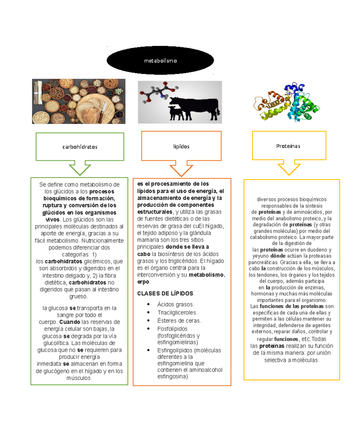 Act 2.2 bioquimica - XACSFDWDFEWFEWFEWF - diversos procesos bioquímicos ...