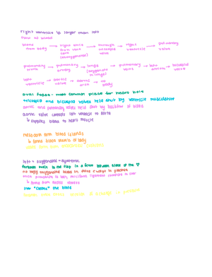 Lower Limb Notes - Lecture 1 Hip Joint Structure 2 primary bones 3 ...