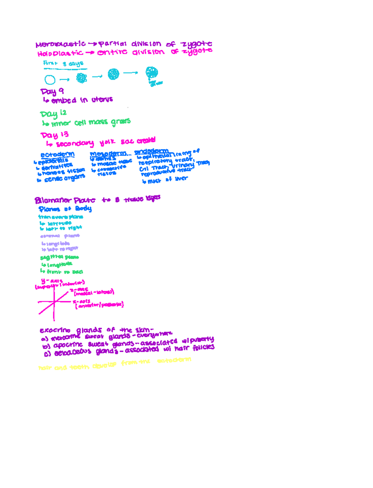 Pre Lecture August 31 and September 1 - Meroblastic partial division of ...