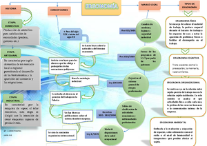 Revisin de la ciencia gerencial - Vol.:(0123456789) Review of ...