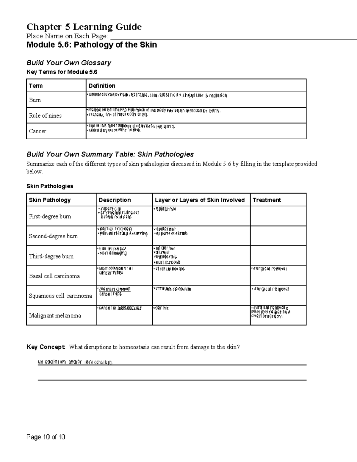 Chapter 5 pg 10 - Chapter 5 Learning Guide Place Name on Each Page ...