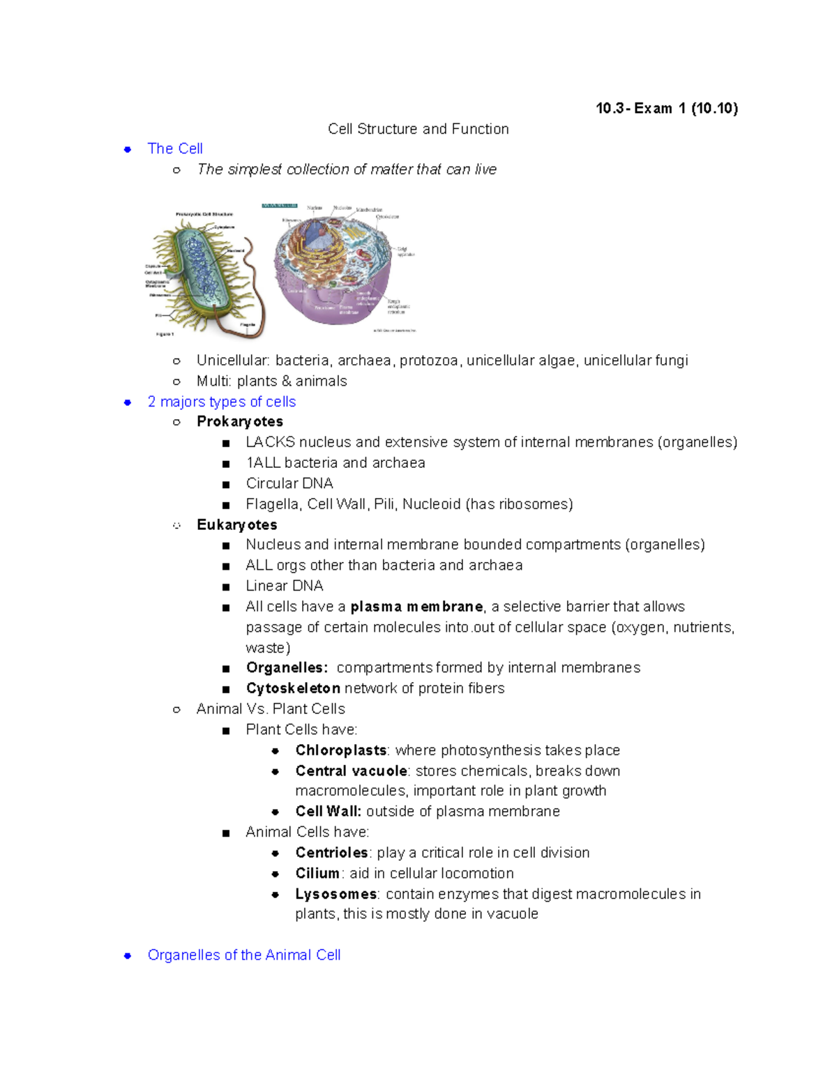 10.3 Cell Structure and Function - 10- Exam 1 (10) Cell Structure and ...