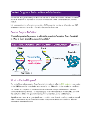 Codon WS - Worksheet – Determination of Protein Amino Acids from M-RNA ...