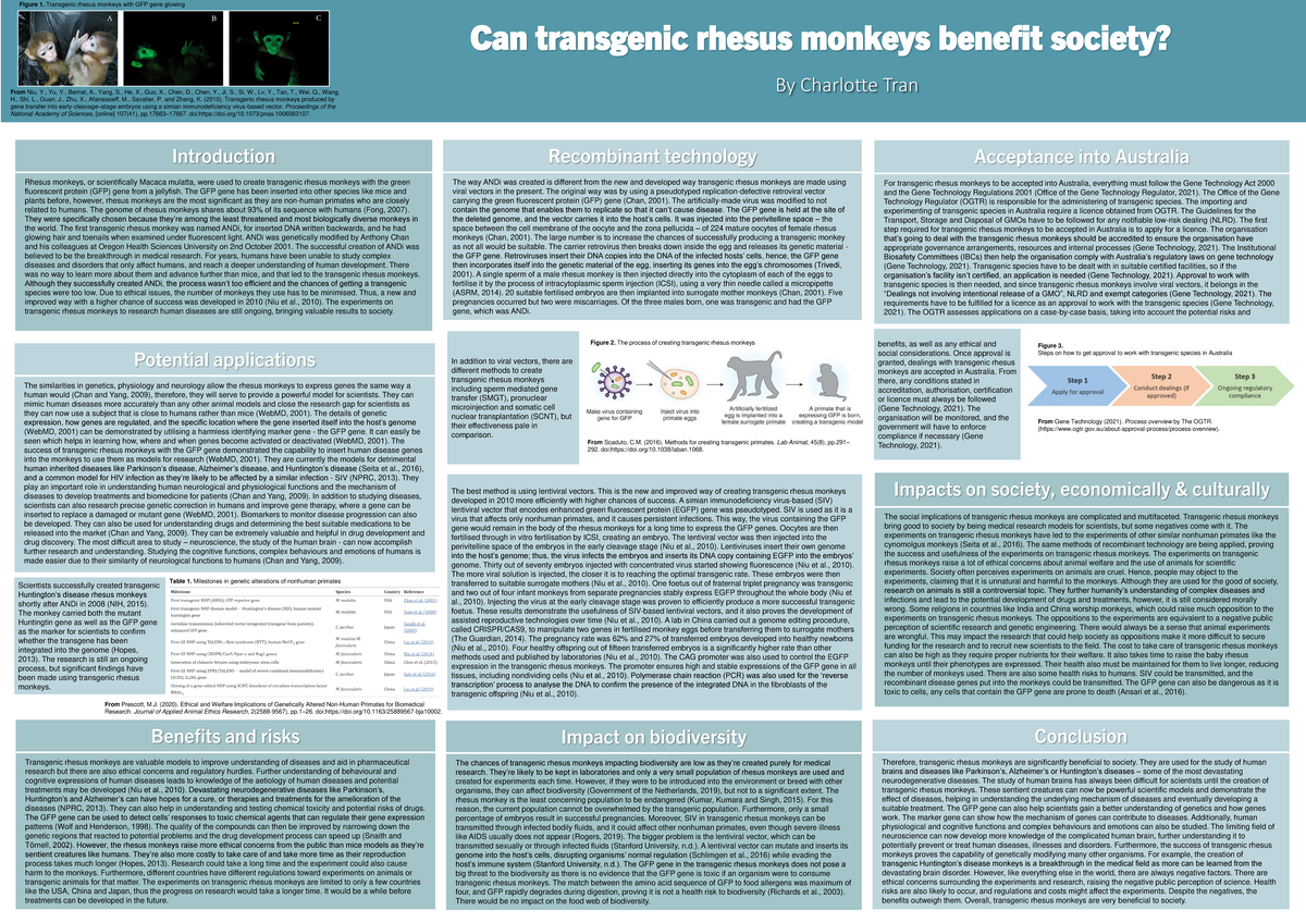 Bio transgenic species (rhesus monkeys) depth study poster - Can ...