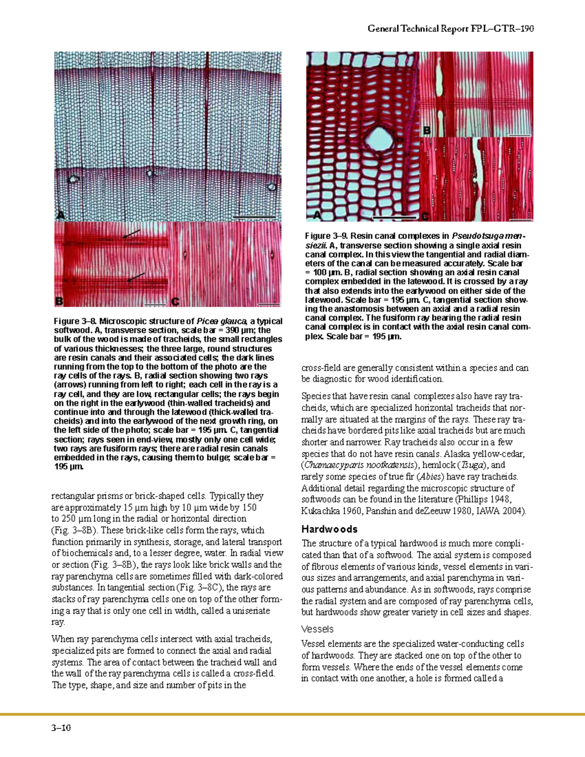 Wood Handbook, Wood as an Engineering Material ( PDFDrive )-15 ...