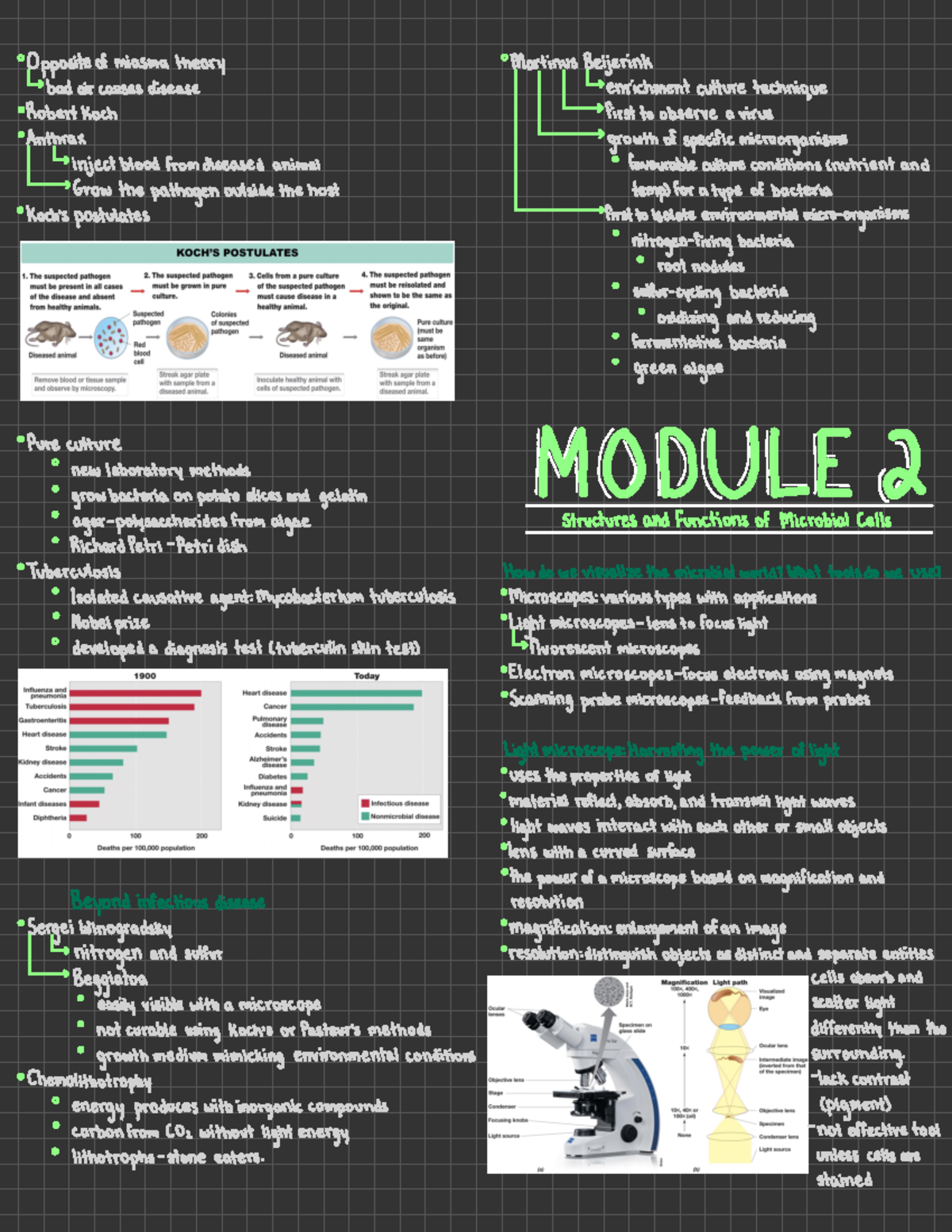 Module 2 - Structures and functions - Oppositeof miasma theory Martinus ...