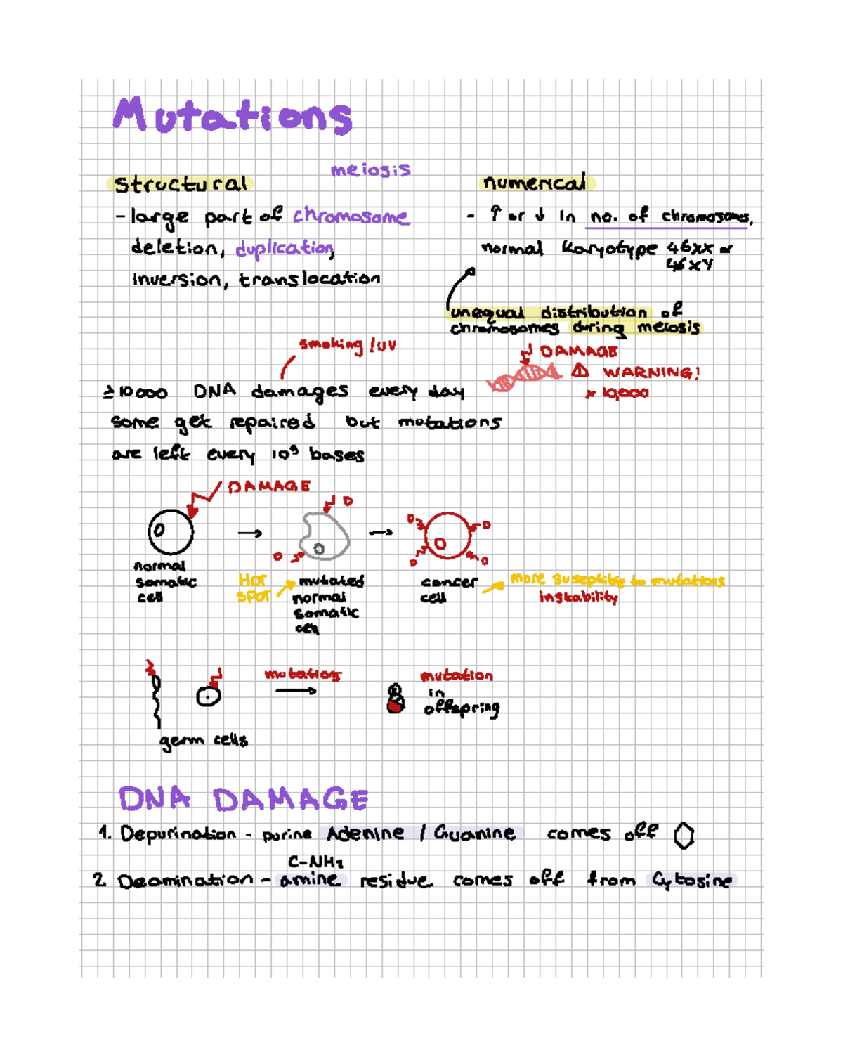 Mutations - Summary Foundations in Bioscience I: Molecules to Cells ...