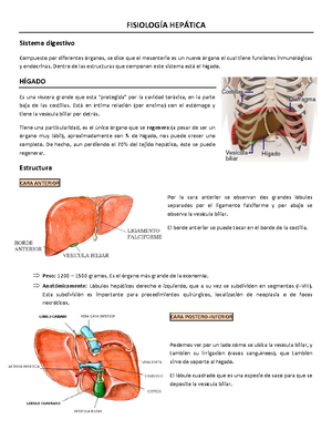 Png2pdf - Evaluación función hepática según clínica y laboratorio ...