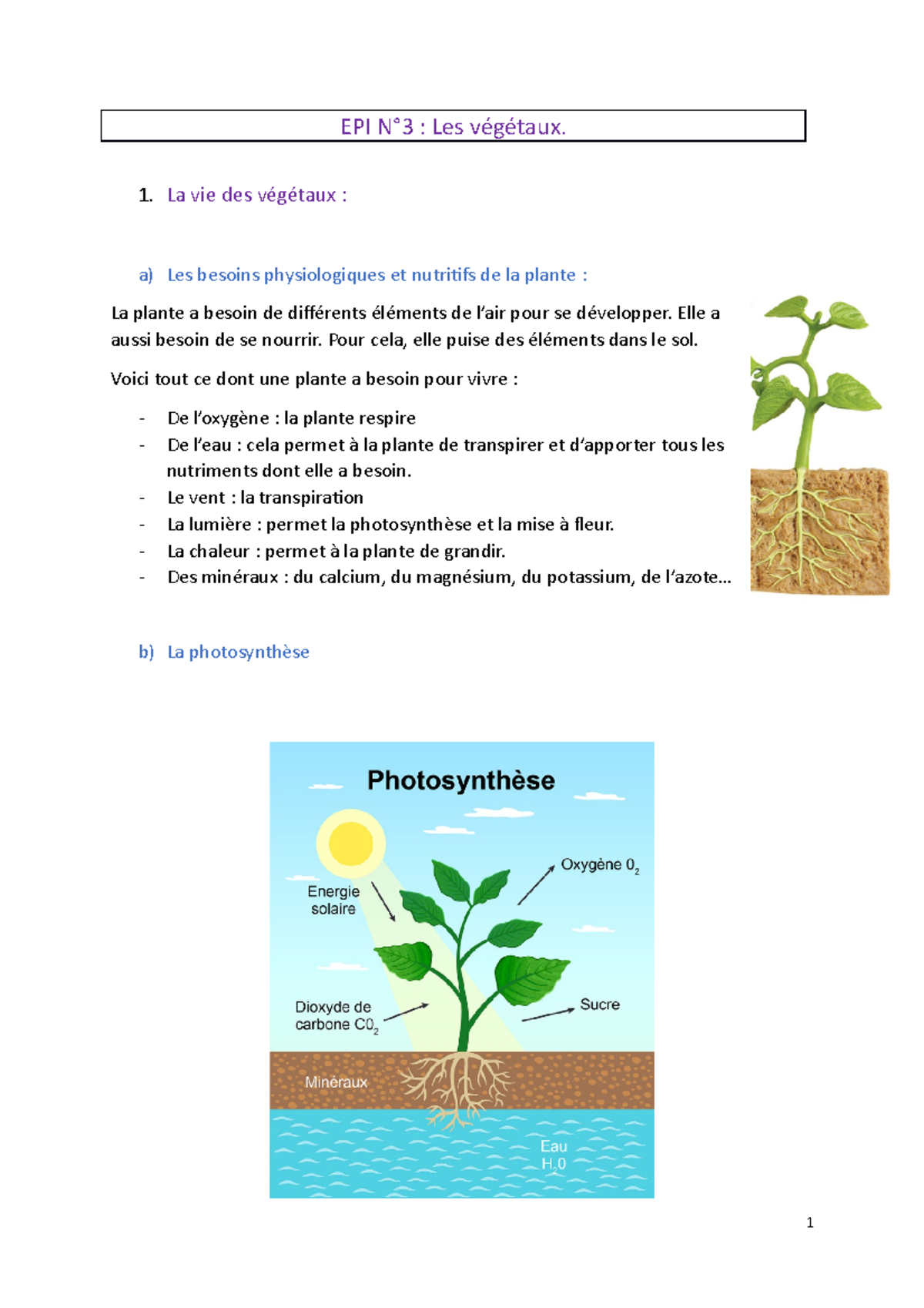 LA VIE DES Vegetaux - merci - EPI N°3 : Les végétaux. 1. La vie des ...