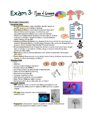 Medication - Gentamicin - ACTIVE LEARNING TEMPLATES Medication STUDENT ...