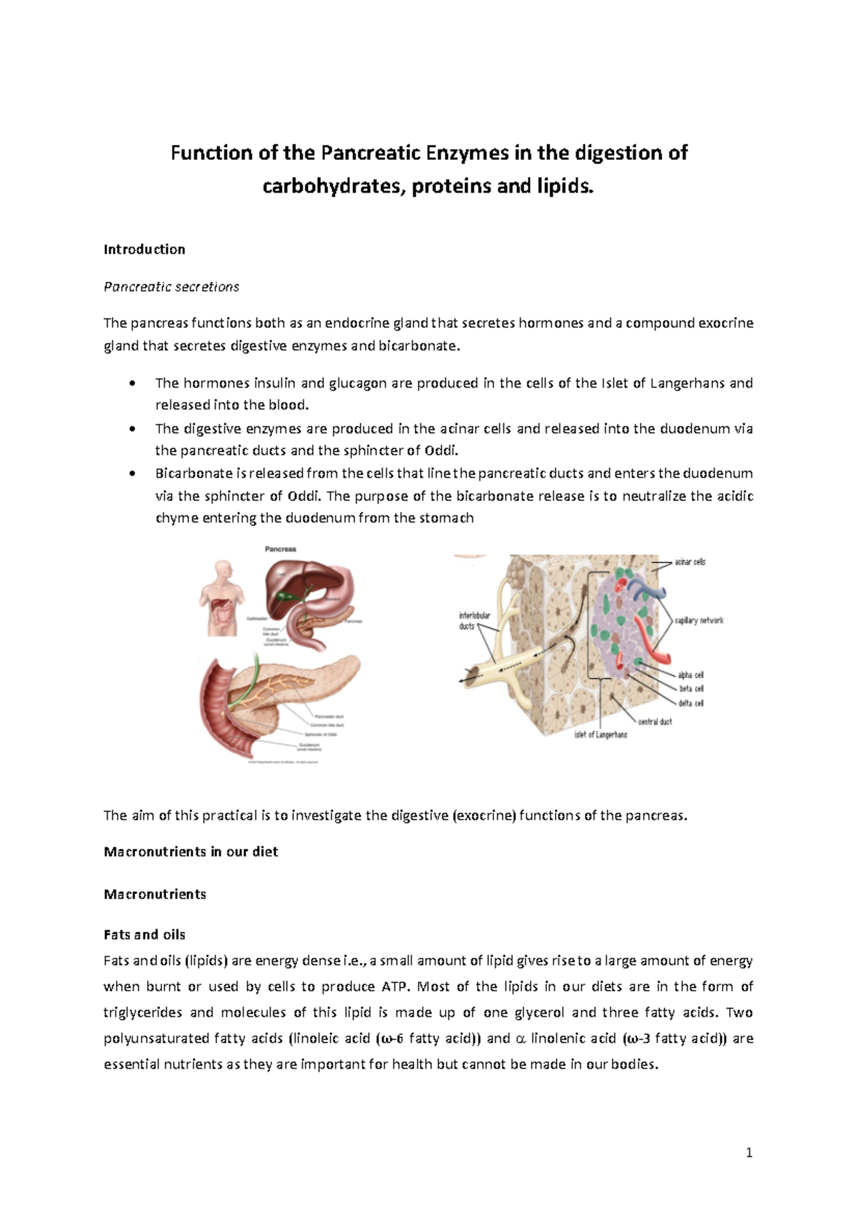 Function of the Pancreatic Enzymes in the digestion of carbohydrates ...