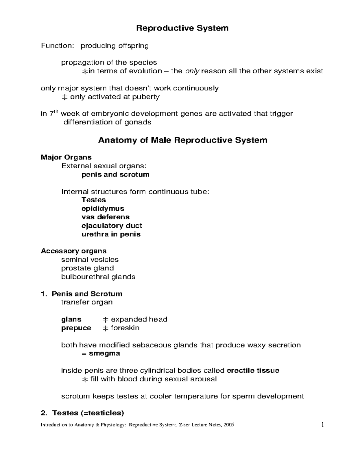Reproductive System notes - Reproductive System Function: producing ...