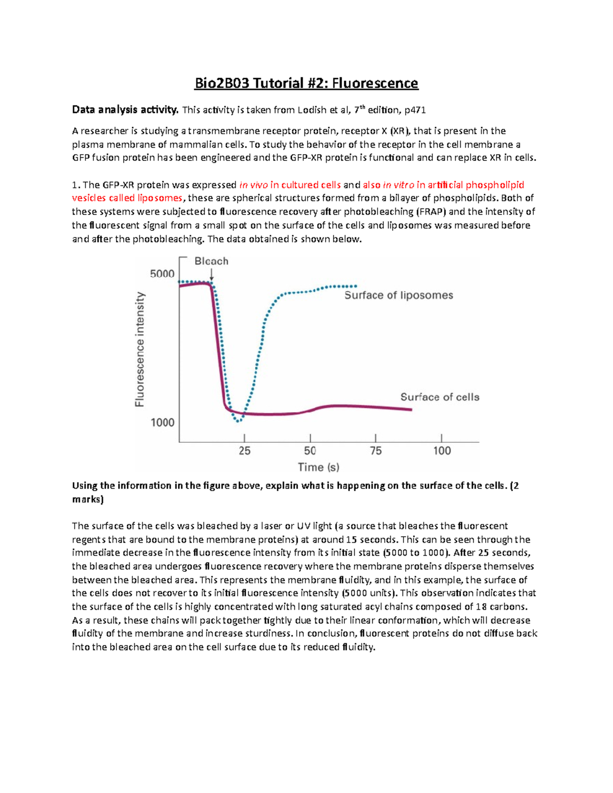 Bio 2B03 Assignment 2 - Fluorescence - Bio2B03 Tutorial #2: Fluorescence Data analysis activity ...