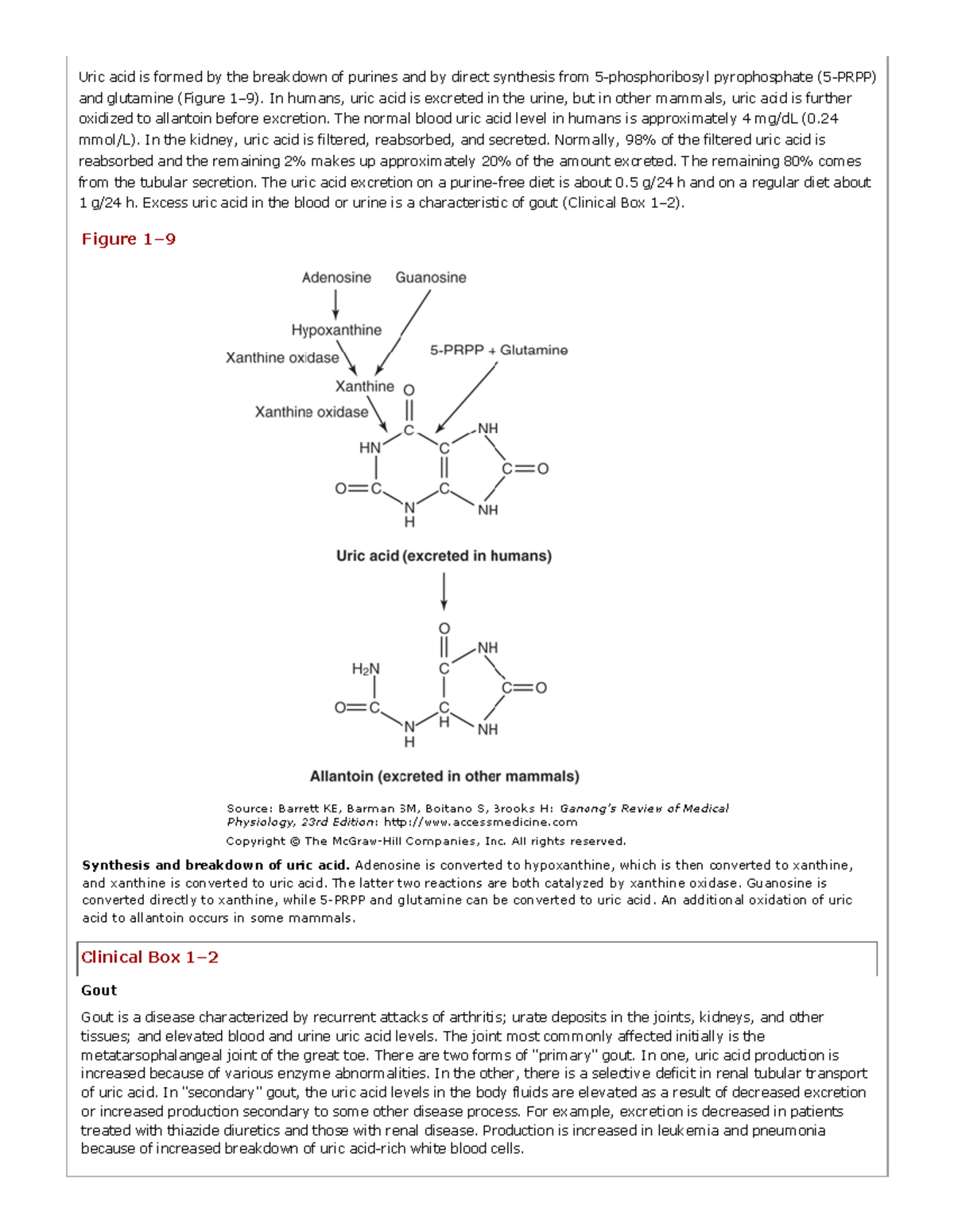 Review amerika of Medical Physiology -4-150-5 - Uric acid is formed by ...