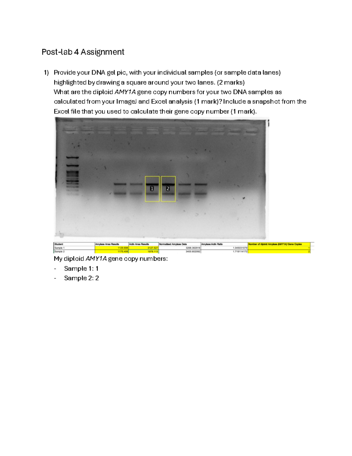 Post Lab 4 Assignment F2024 - Post-lab 4 Assignment 1) Provide your DNA gel pic, with your - Studocu
