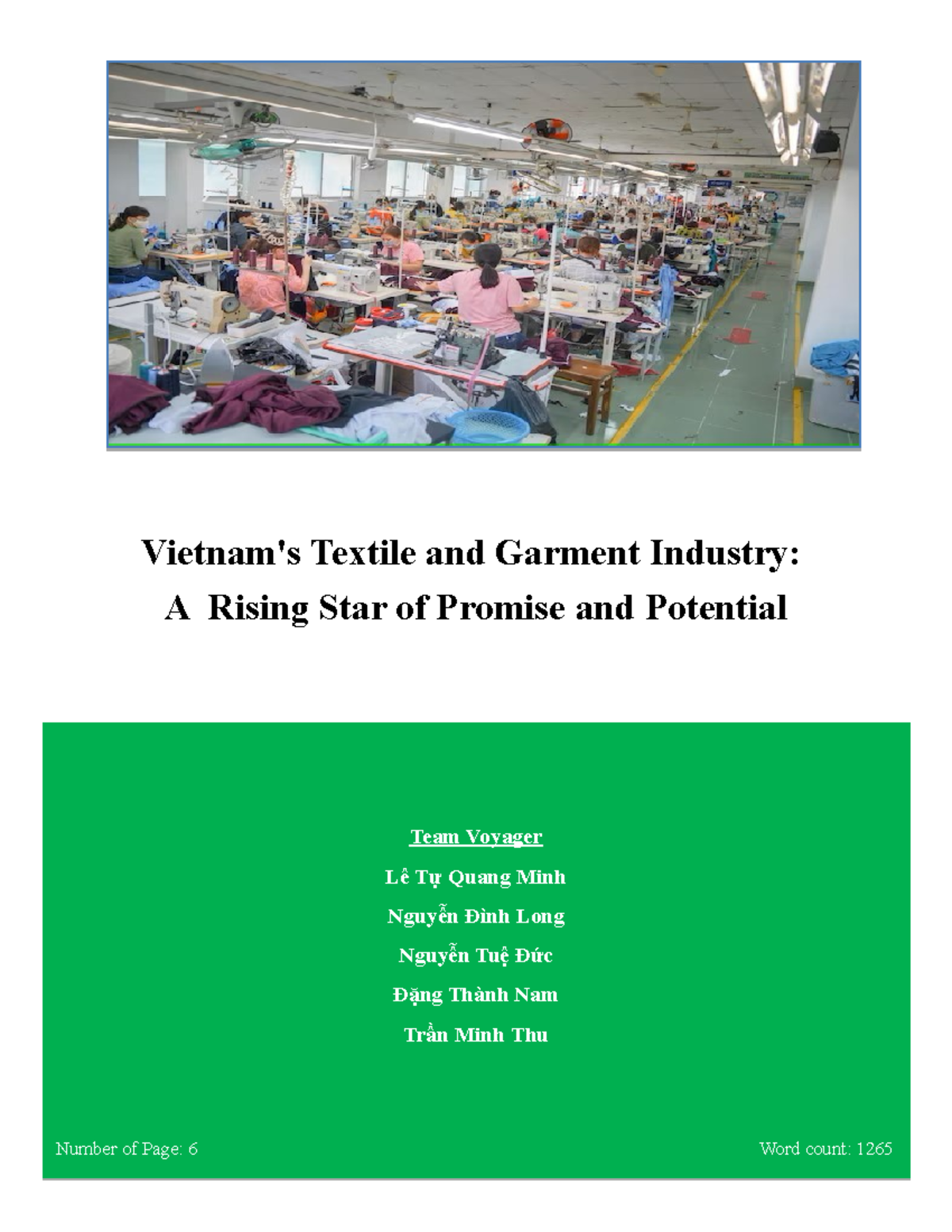 Individual assignment - Vietnam's Textile and Garment Industry: A Rising Star of Promise and ...