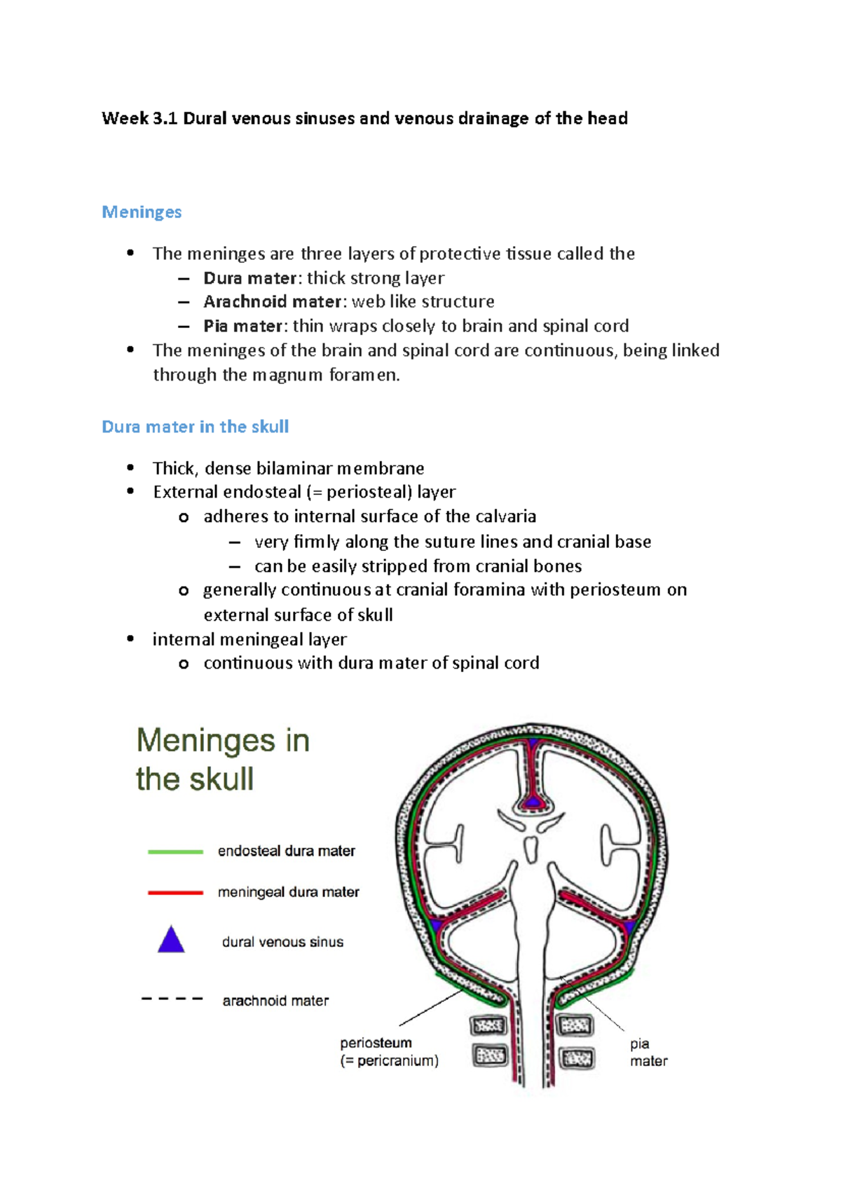 Dural venous sinuses and venous drainage of the head Week 3 - Week 3 ...