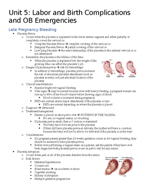 Labor and Birth Process review - Labor and Birth Process Gravida/ Para ...