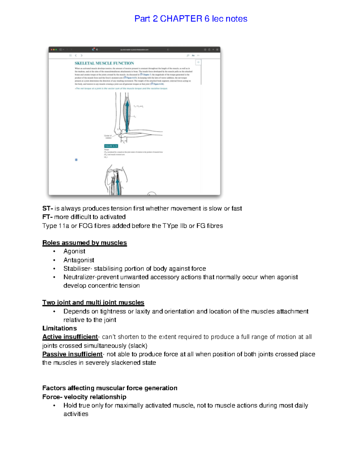 Part 2 Chapter 6 lec notes - ST- is always produces tension first ...