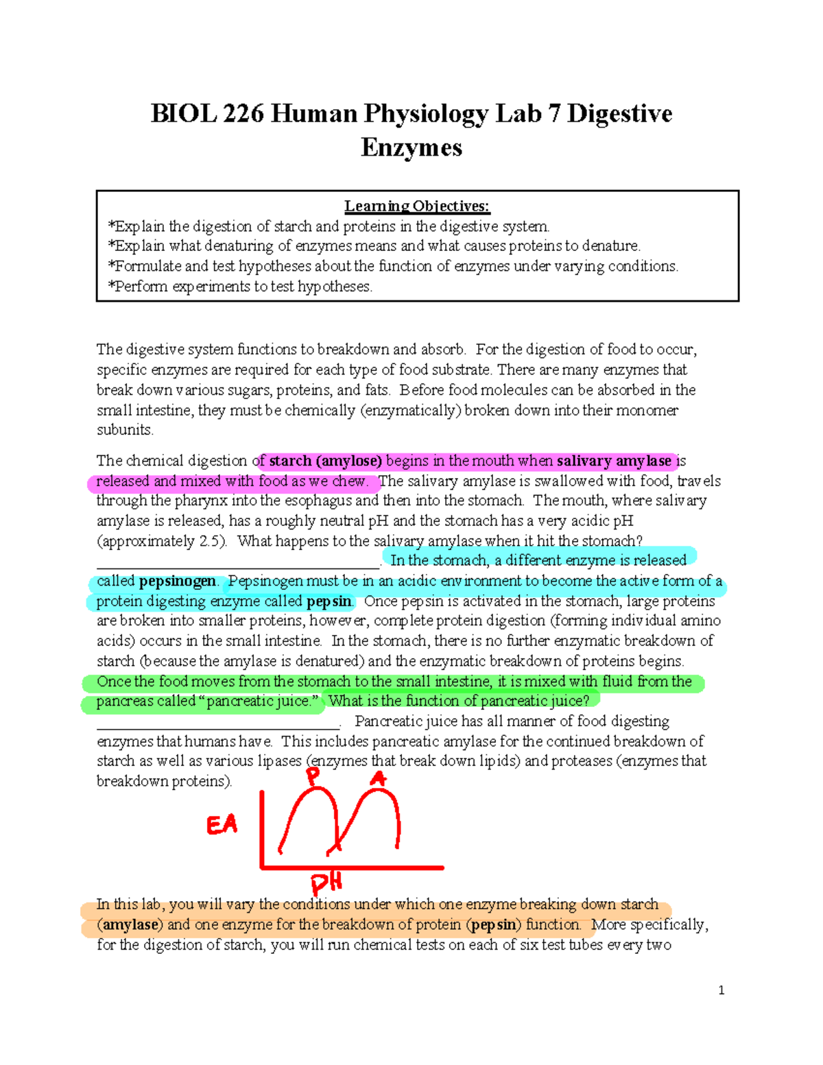 Physio+Lab+Report+07 - BIOL 226 Human Physiology Lab 7 Digestive ...