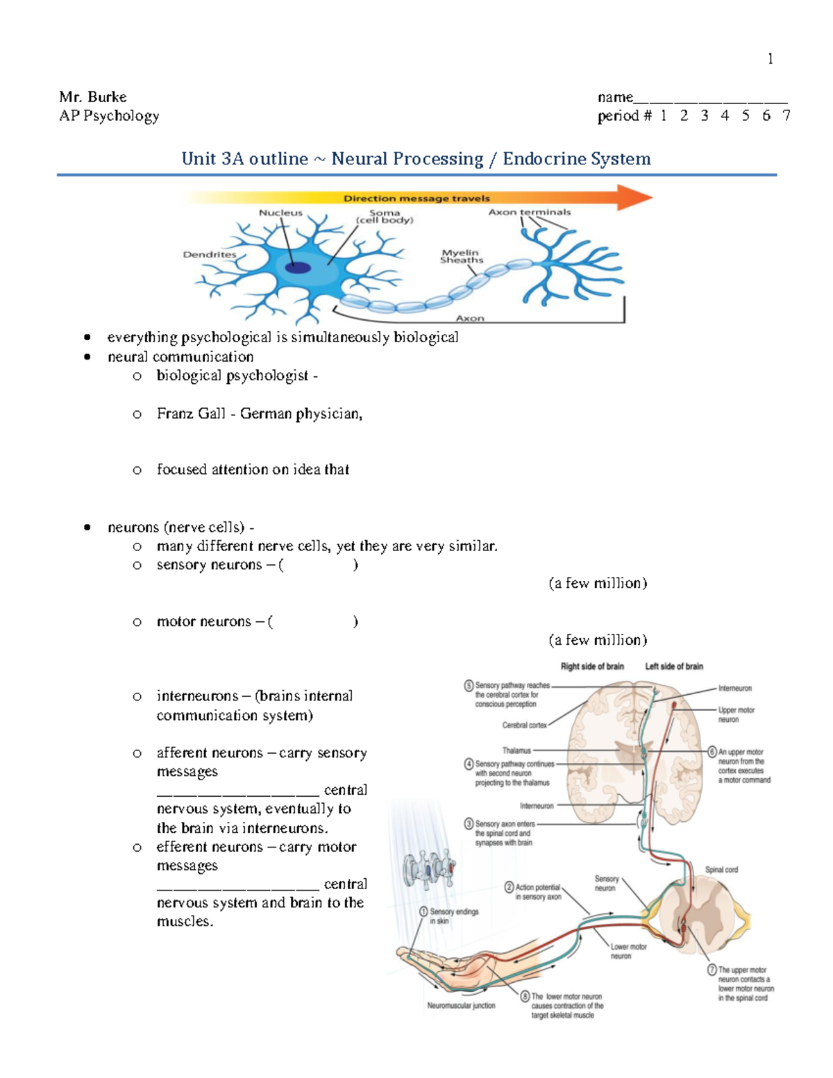 AP Psych Unit 3a - good notes - Mr. Burke name___________________ AP ...