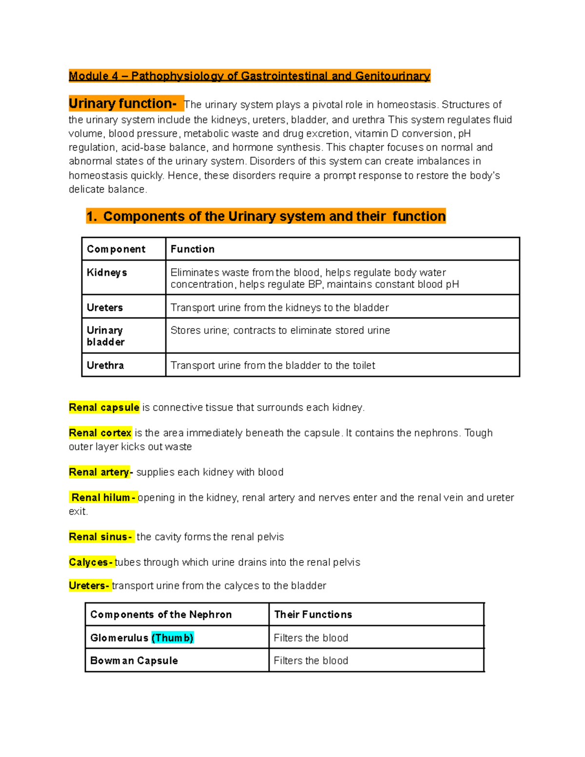 Copy of Module 4 – Patho everything you need to know-2 - Module 4 ...