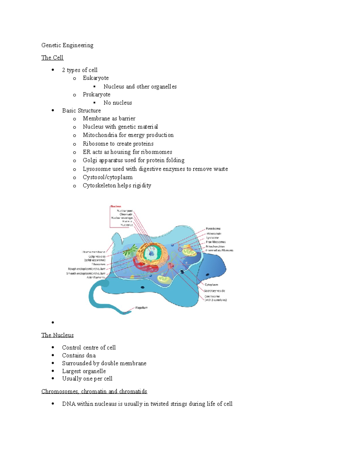Genetic Engineering - Summary of Slides presented - Genetic Engineering ...