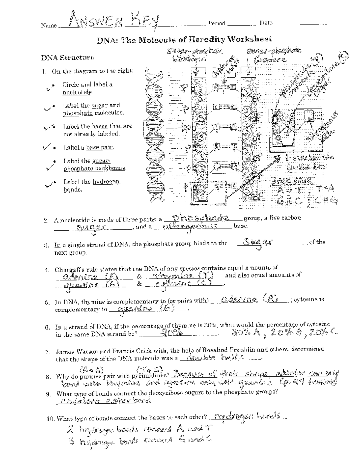 Answer Key to BIO 168 Chapter 3 Worksheets - BIO-168-Z190 - Studocu